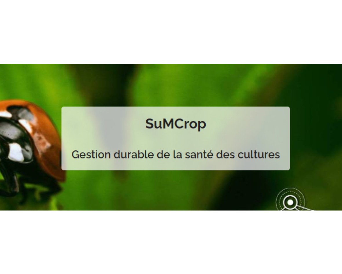 Séminaire Métaprogramme SuMCrop - Gestion durable de la santé des cultures | Ecophytopic